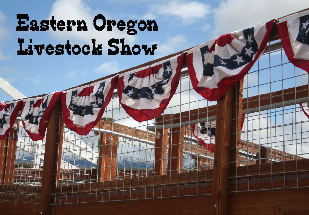 Eastern Oregon Livestock Show 2012 | The Renegade Seamstress