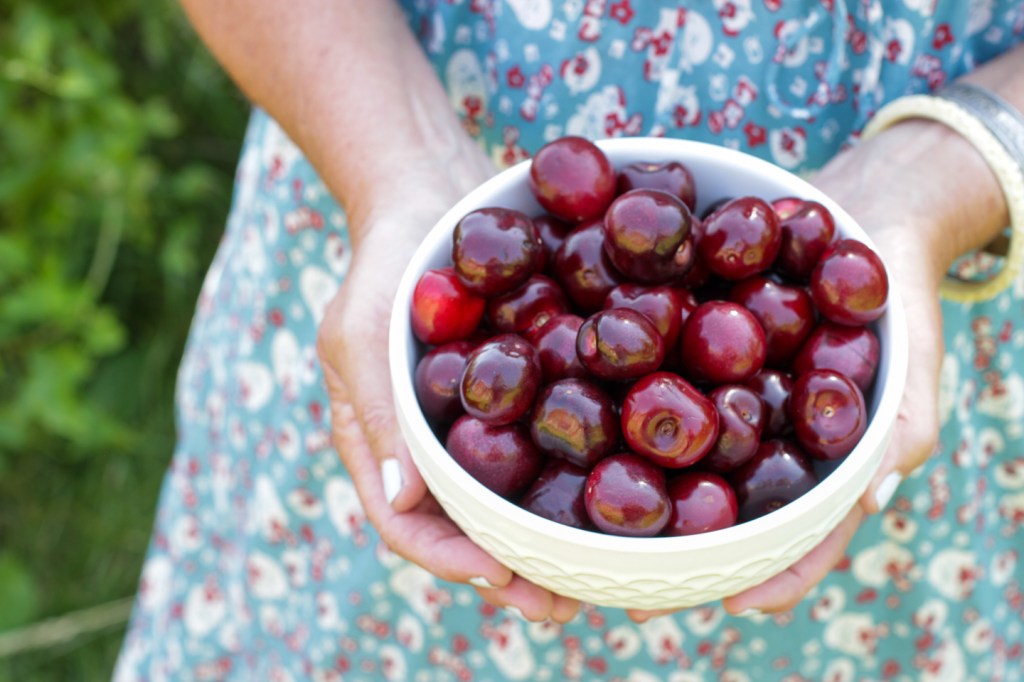 How to Preserve Cherries: A New One Minute Video ( Visually One of My ...