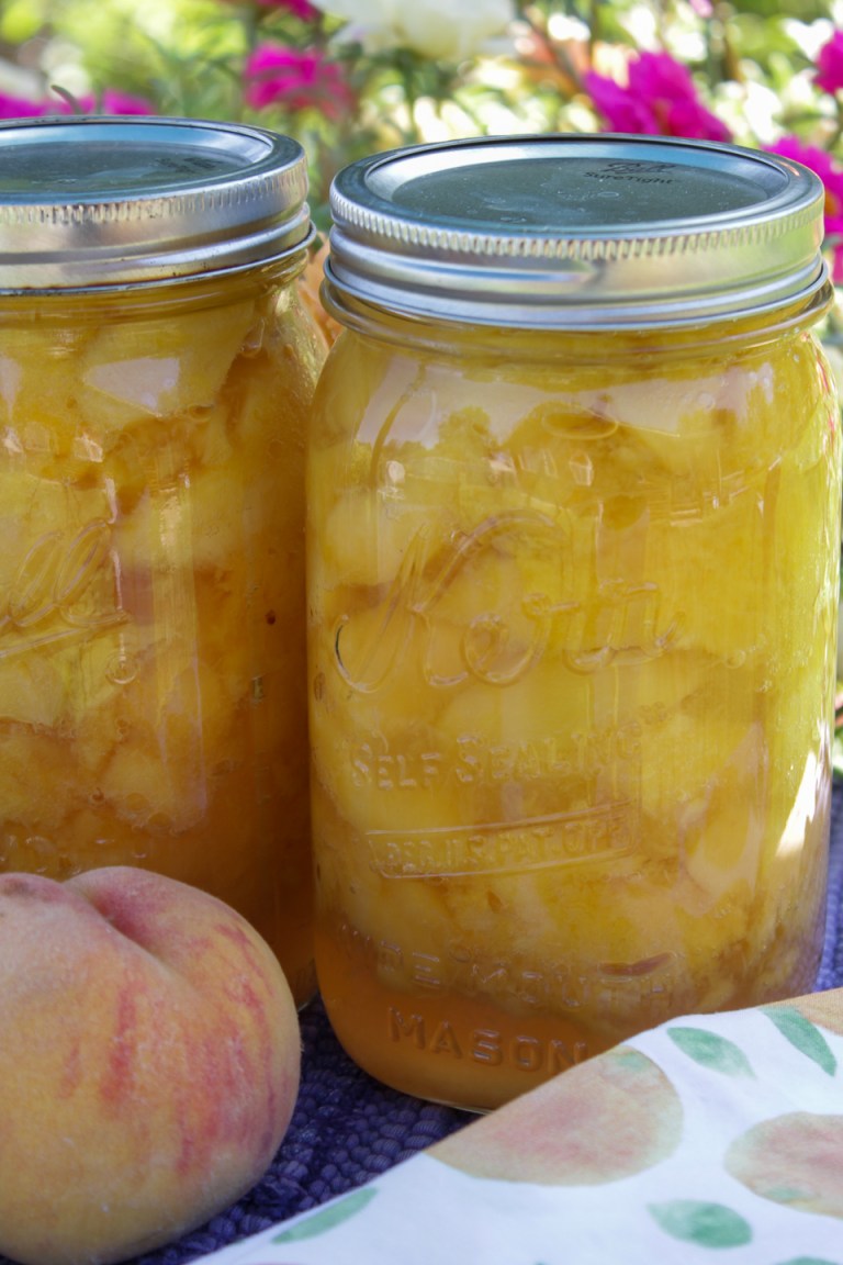 How to Preserve Peaches: A New One Minute Video | The Renegade Seamstress